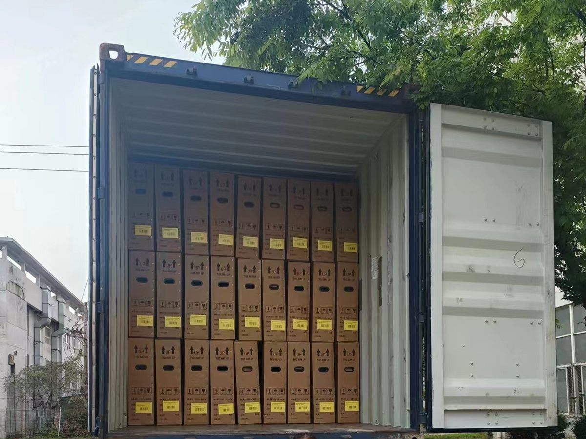 Biktrix | Ultimate Electric Bikes Canada