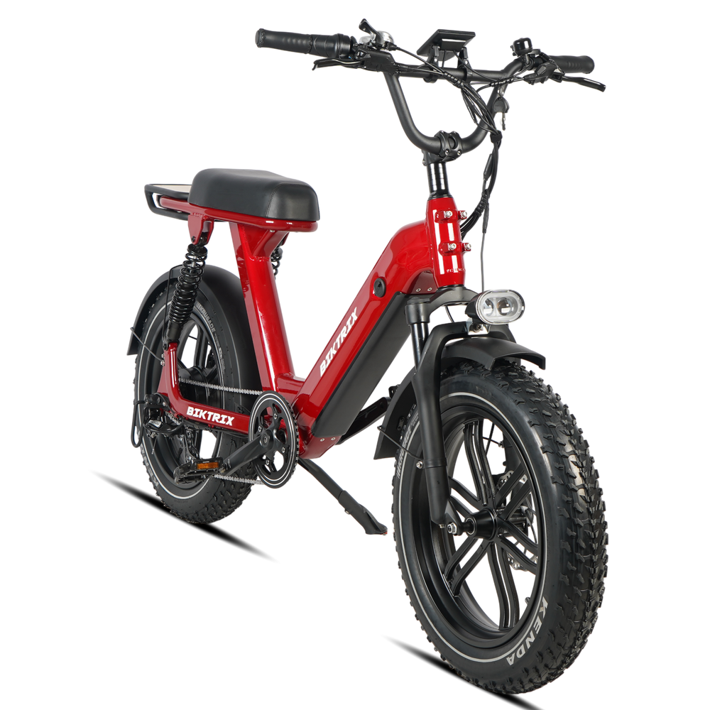 Challenger 2 eBike