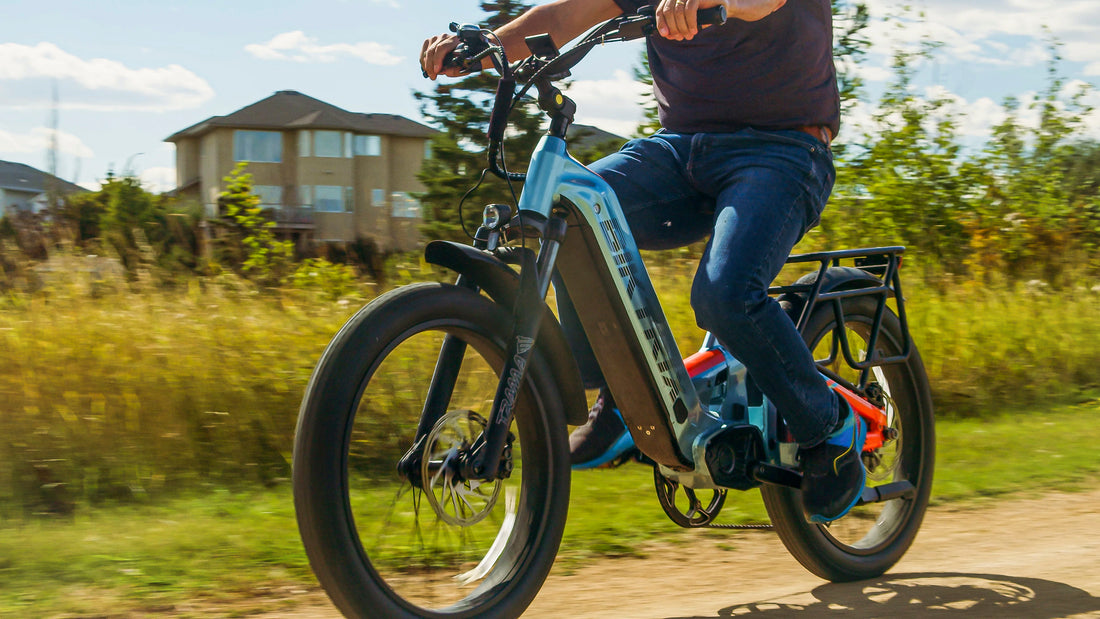 RogueHawk FS Step-Thru 2 | Powerhouse eBike - Biktrix