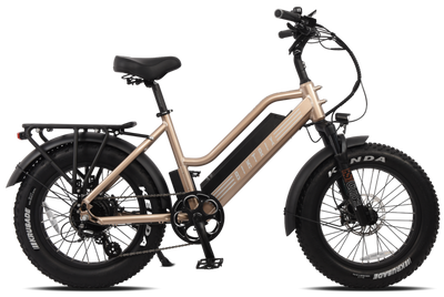 Electric Bikes - Best eBikes | Biktrix