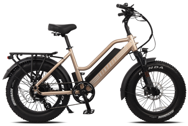 Electric Bikes - Best eBikes | Biktrix