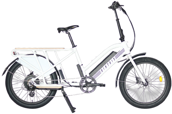 Biktrix | Ultimate Electric Bikes Canada